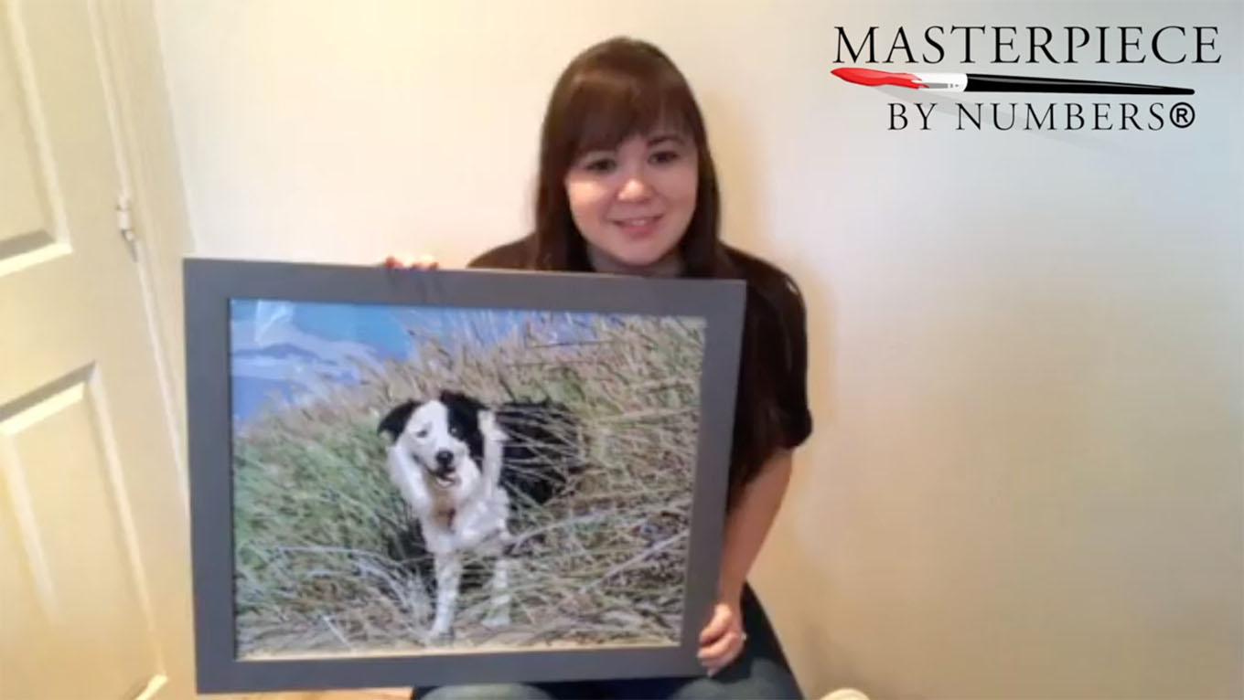 Masterpiece By Numbers - Paint By Numbers Kits For Adults